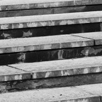 TRACES – Sara Ruddock